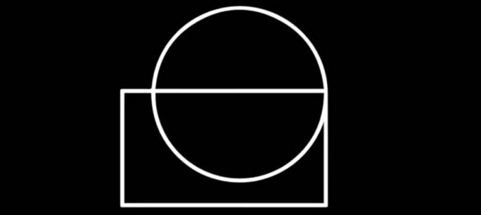 ORGAN THING: Adulkt Life, The return of Huggy Bear’s Chris Rowley, and ...