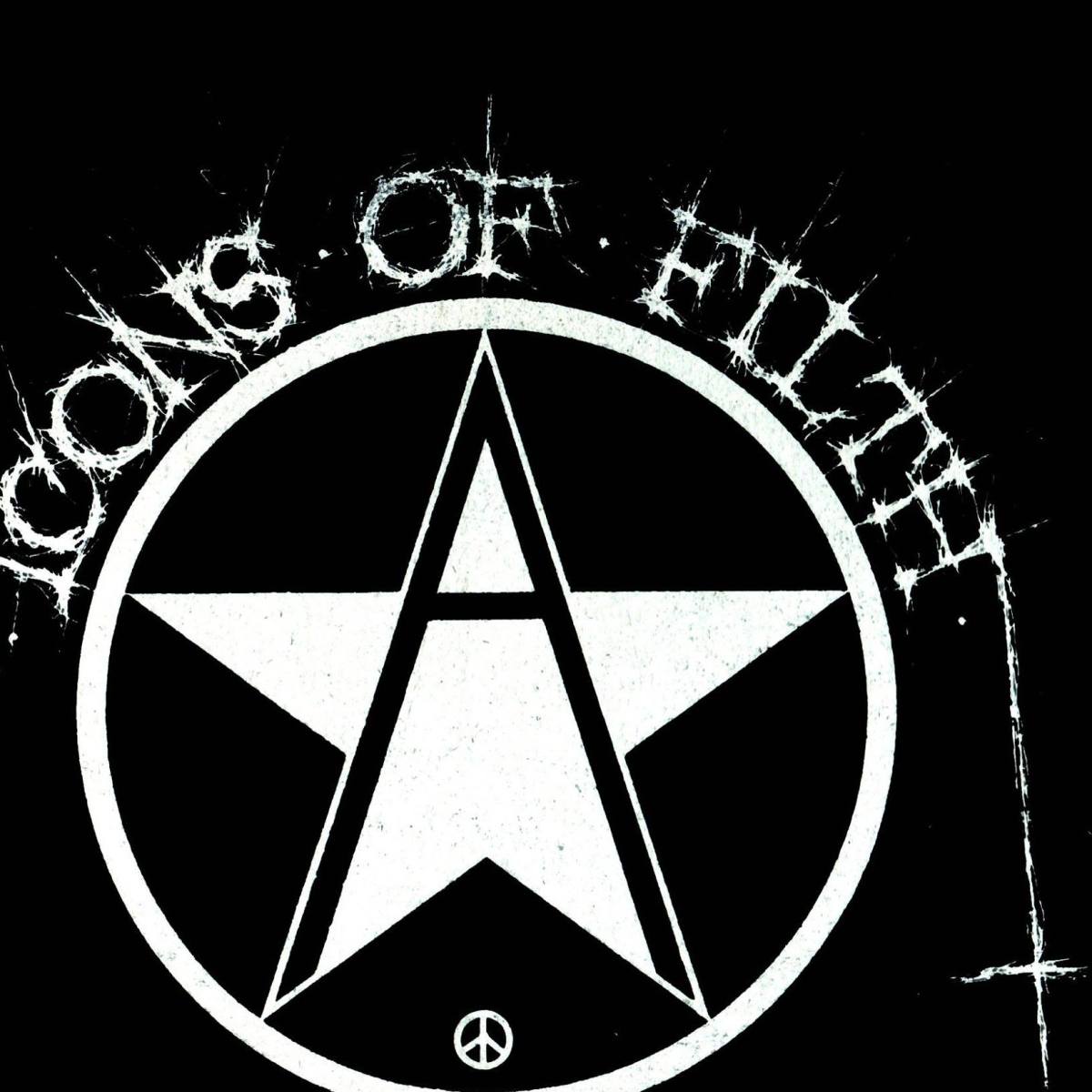 ORGAN THING: Welsh anarcho punks Icons Of Filth are back with a ...