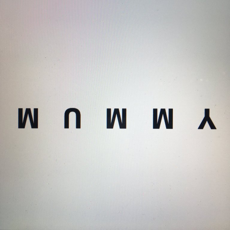 ORGAN: Our best albums of another very musically busy 2025. Who did we ...